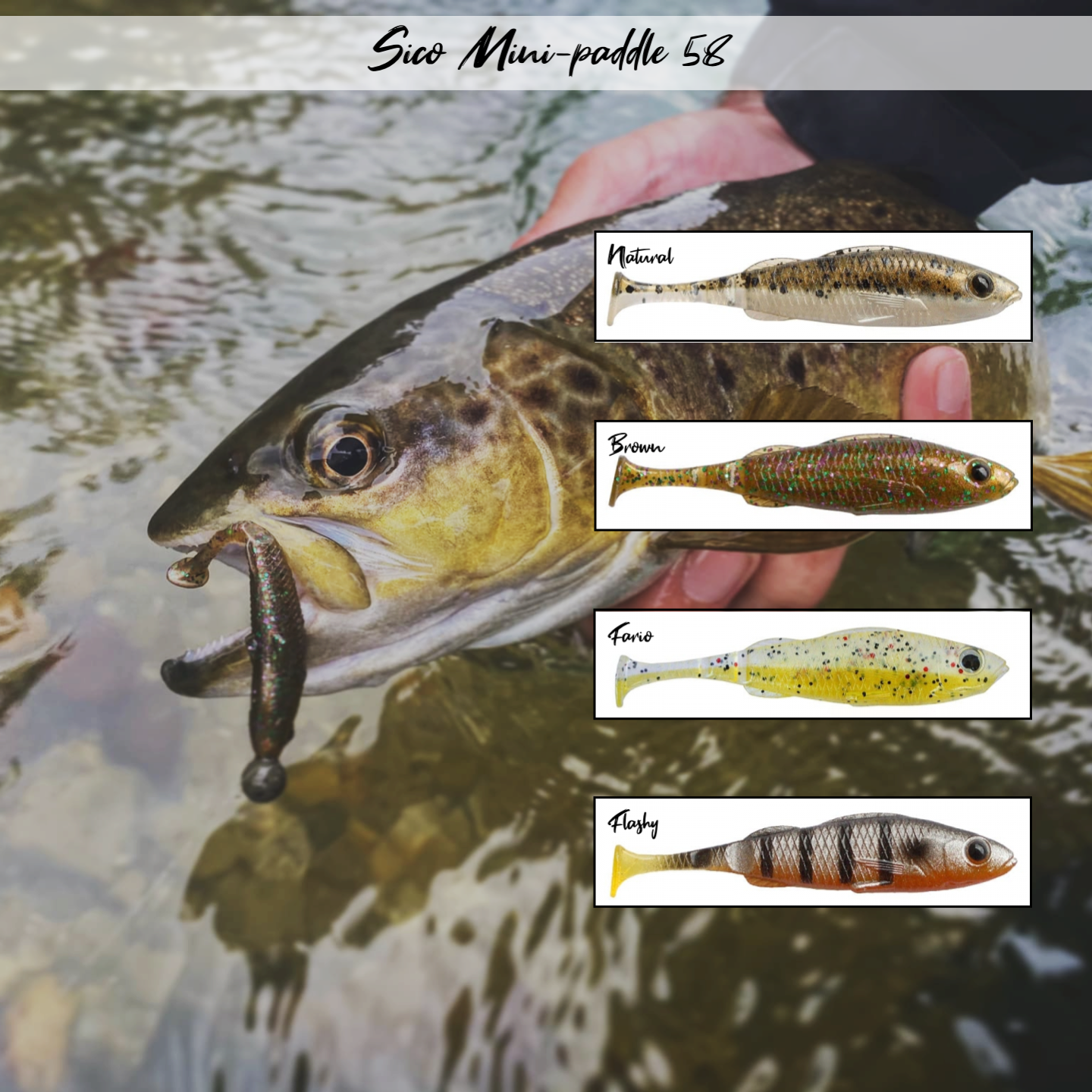 Sico Mini paddle swimbait - French Touch Tackle